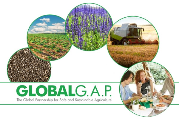 GLOBALGAP Belgesi Nedir ve Nasıl Alınır?