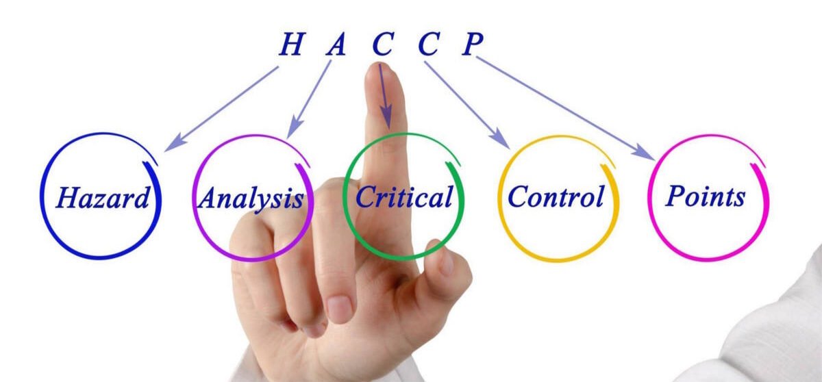 HACCP Belgesi Nasıl Alınır? HACCP Eğitim Sertifiksı