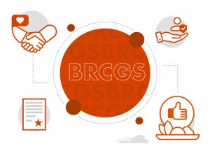 BRGCS ETRS Danışmanlık Hizmeti
